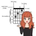 How to Read a Chord Diagram in Under 10 Minutes